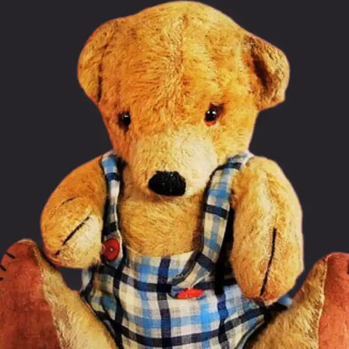 A Very Mathematical Bear! – Best Dressed Bears